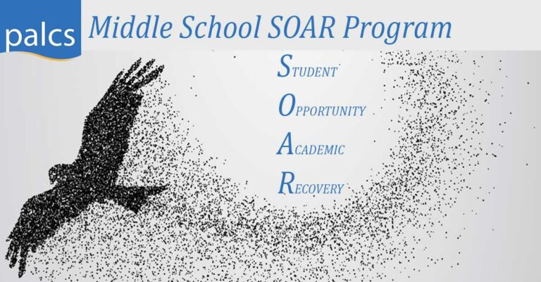 Online Education in PA | PALCS